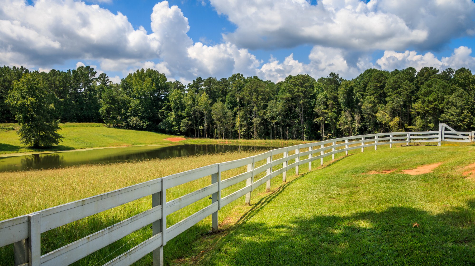 Residential Property Line Survey Maps